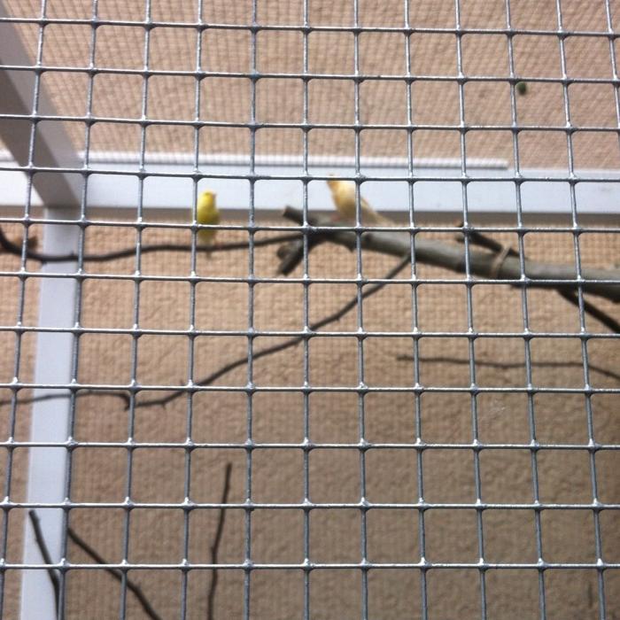 Estrichgitter - AKS-Gitter® I, mit integrierten Abstandhalter in ...